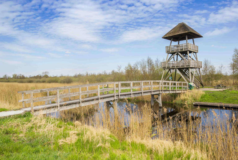 Een paradijs voor natuurliefhebbers: ontdek Nationaal Park De Alde Feanen