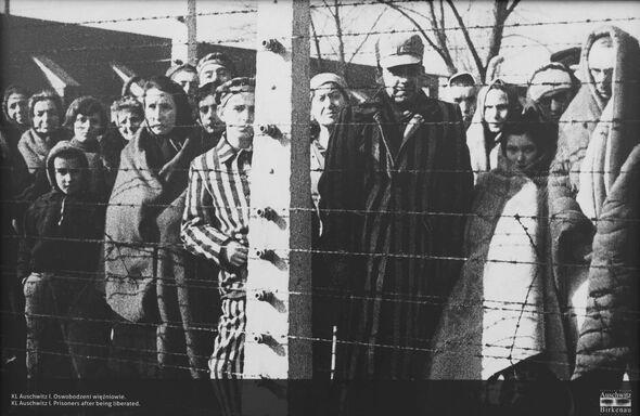 Holocaust survivors tearfully honour 6m Jews killed as world leaders gather