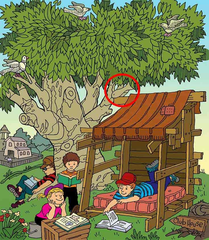 Picture Puzzle Challenge: Where’s the fish? Only sharp-eyed readers can ...