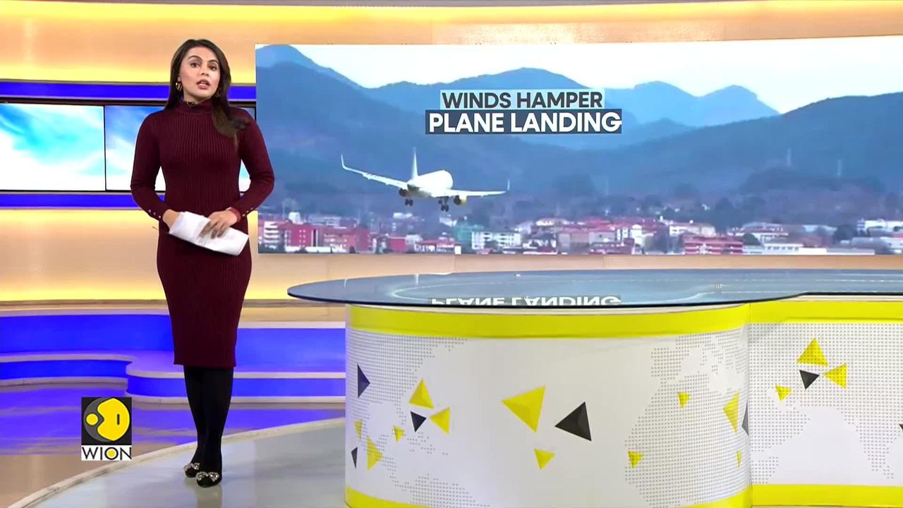 Strong winds buffet plane's landing