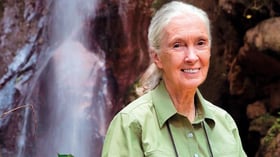 I wear my clothes for years and discard them only when they become ...