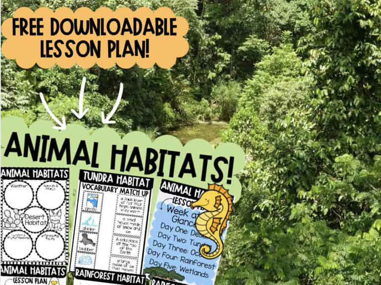Exploring Animal Habitats: A Free 5-Day Unit Plan