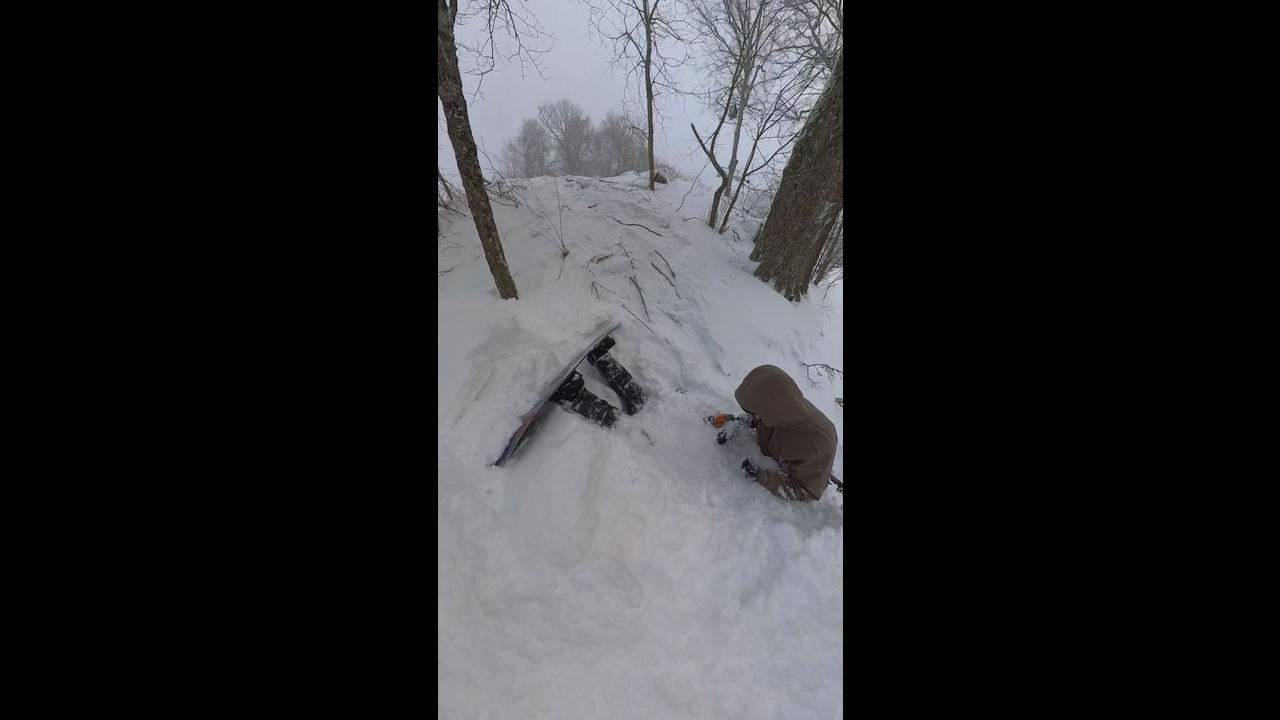 Snowboarder Wipes Out on Tree Well