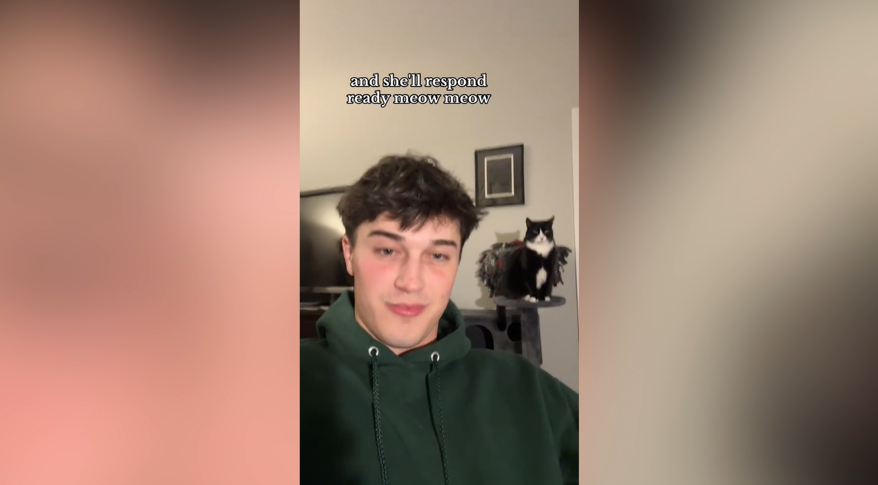 Proud Cat Dad Teaches Pet To Meow On Command In Heart-Warming Clip