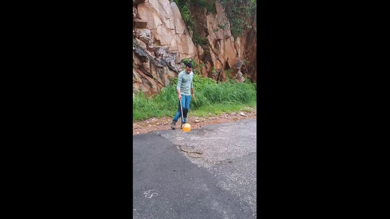 Snake bursts balloon in unusual encounter in Alwar, India