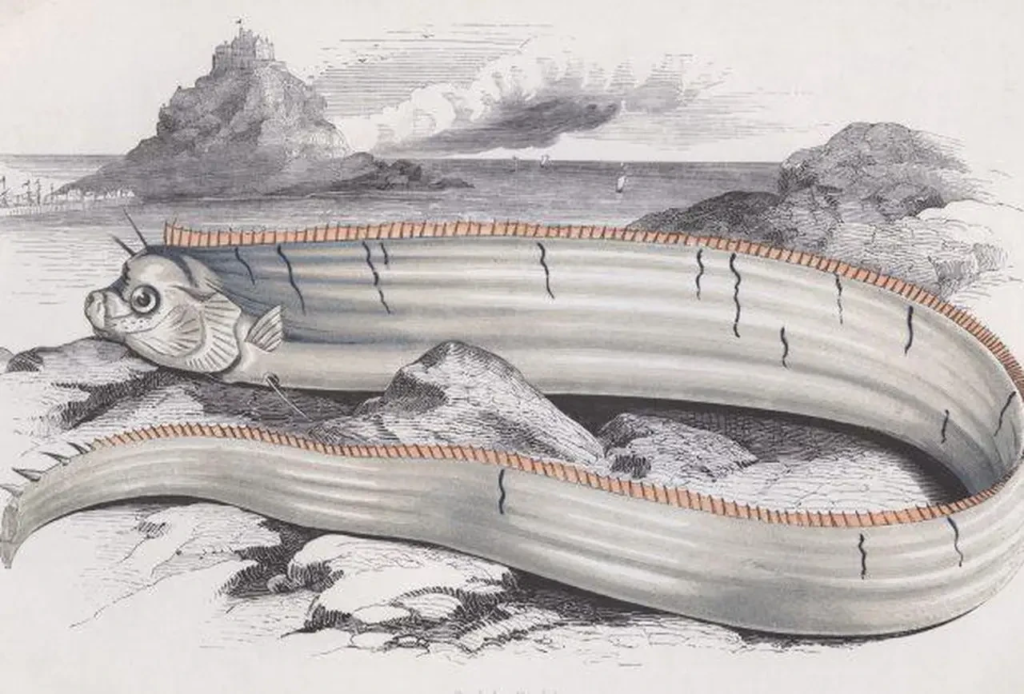 Sea Monsters Are Real: 12 Cryptids That Turned Out to Be Actual Animals