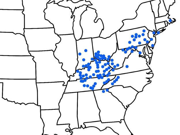 Cicada map 2025: Where are they? When do cicadas go away? Here's how ...