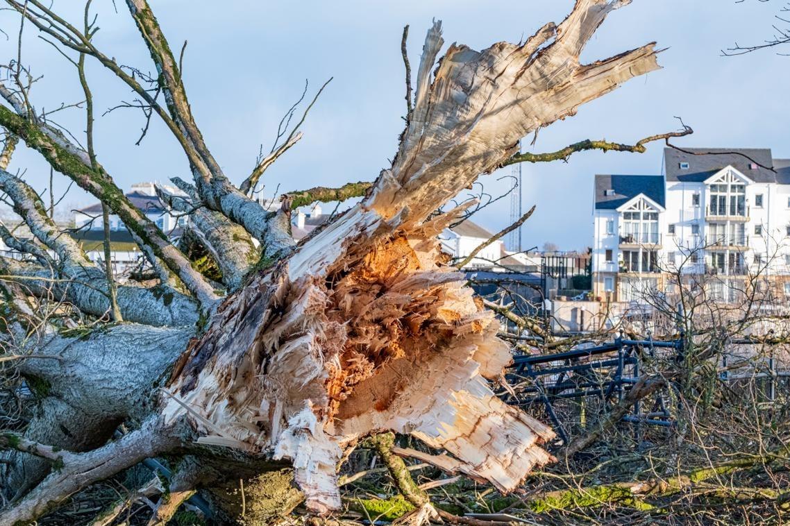 Storm Eowyn aftermath: Fire at MLA's property as 'fallen electricity ...