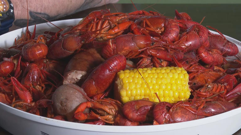 What to expect for the 2025 crawfish season