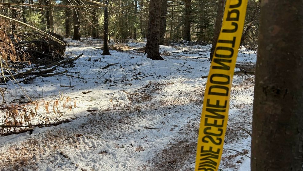 Human remains found in Lewiston bog