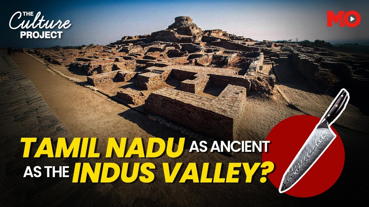 5,000-year Iron Age legacy: Tamil Nadu's historic breakthrough