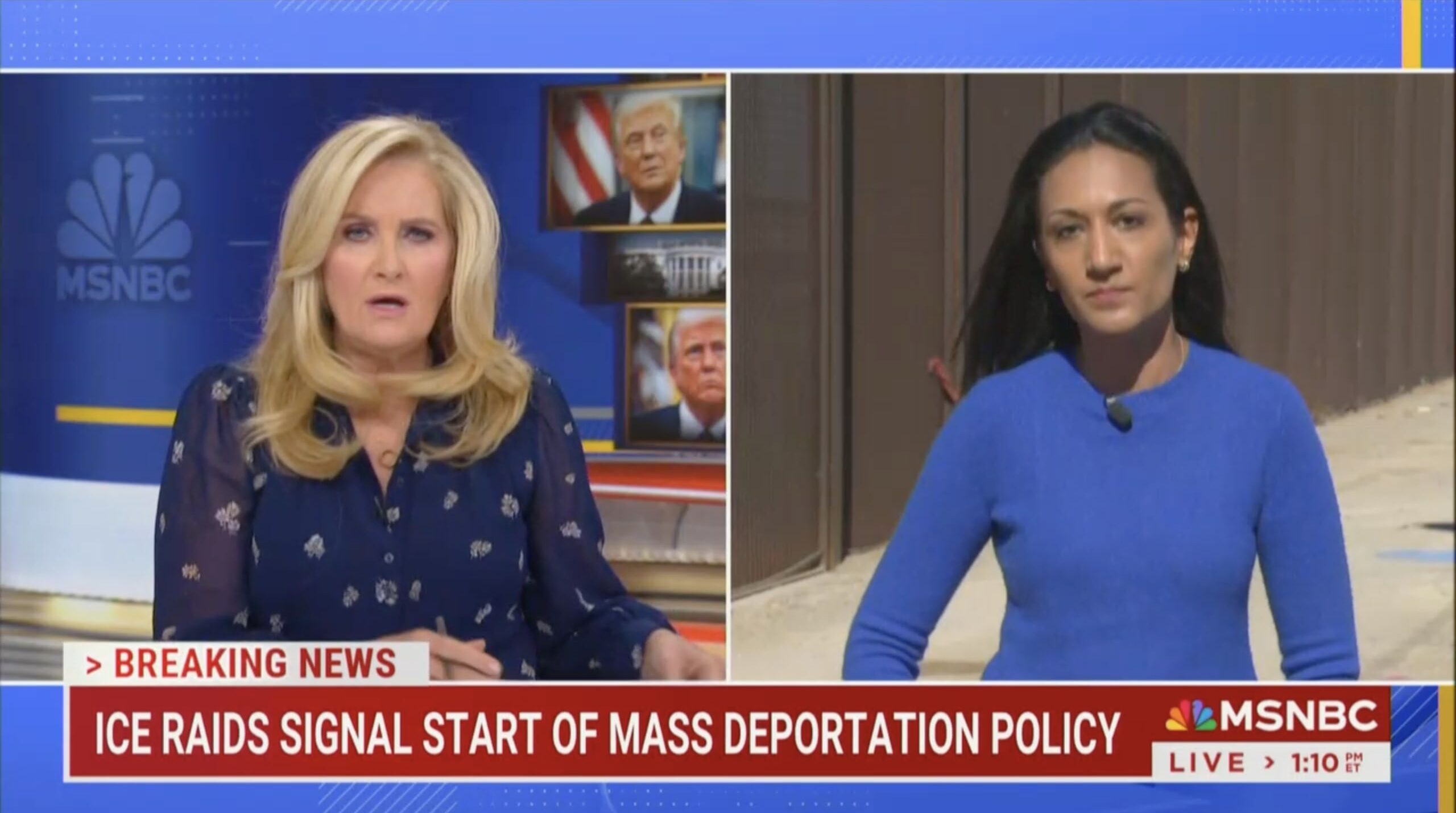 ‘We Call Them Undocumented’: MSNBC Host Corrects Reporter Quoting Trump ...