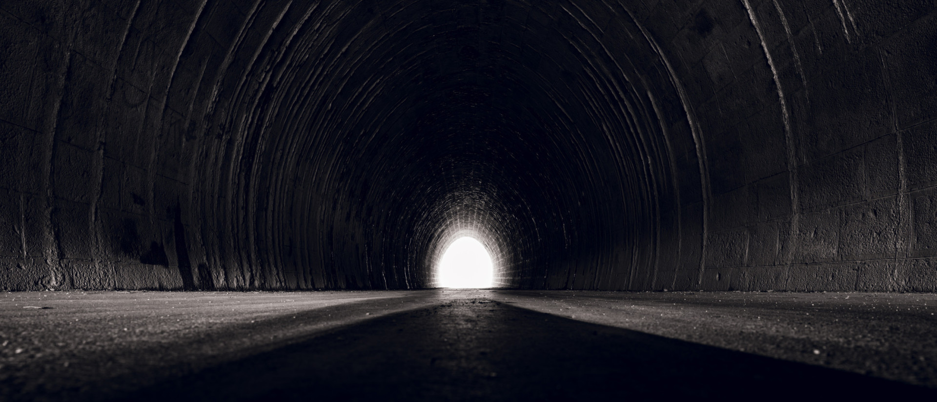 Researchers investigate possible transitional phase between life and death