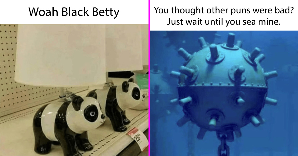 "Monday Punday": 40 Funny Pun Memes To Start Your Week Pun-Derfully ...