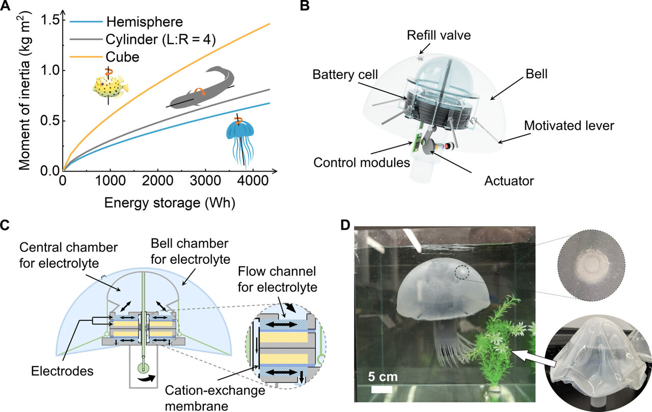 'Embodied energy' powers modular worm and jellyfish robots