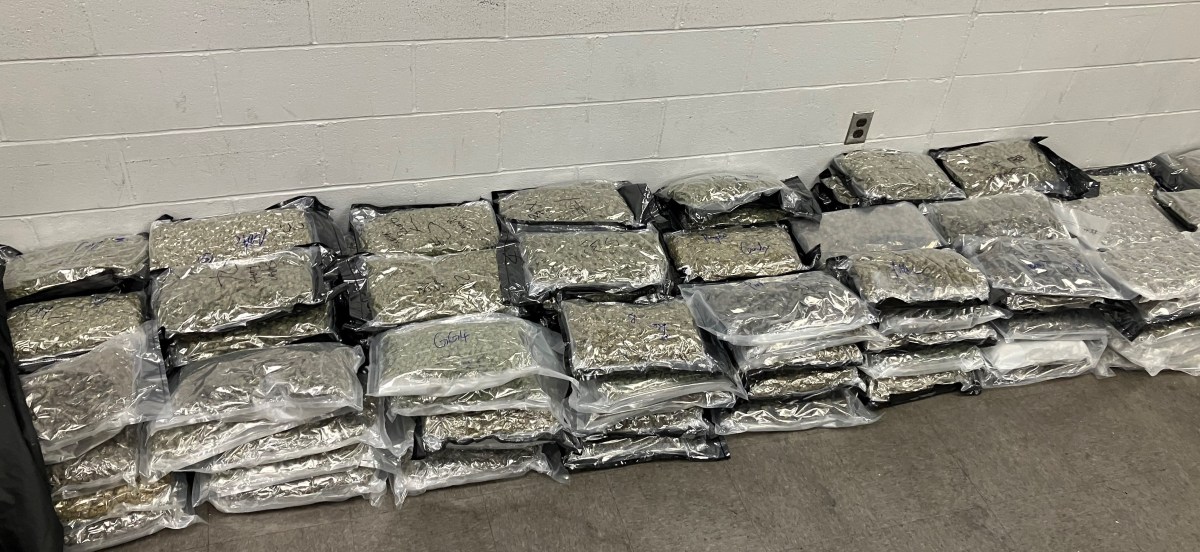 ‘Operation Frostbite’ dismantles Flushing drug trafficking ring ...