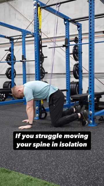 Spine training 101