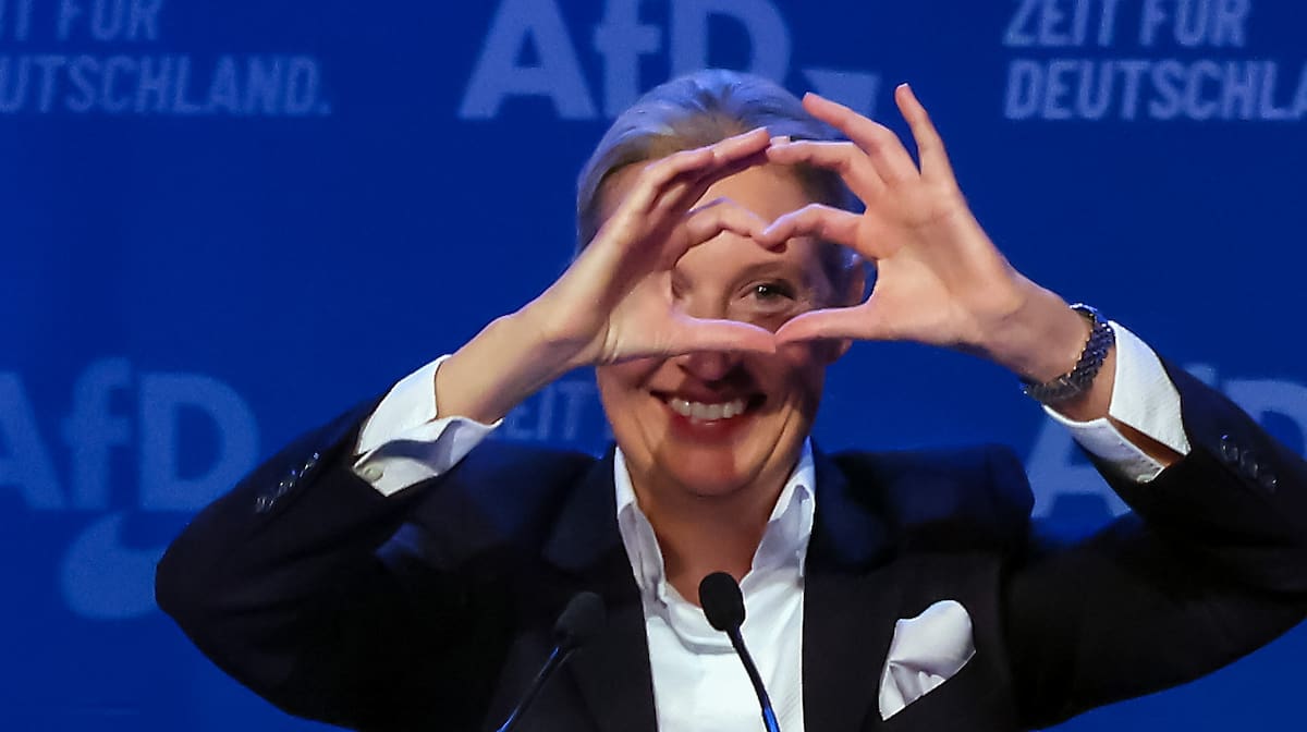 Existiert Horst Jan Winter überhaupt?: AfD erhält Millionenspende von ...