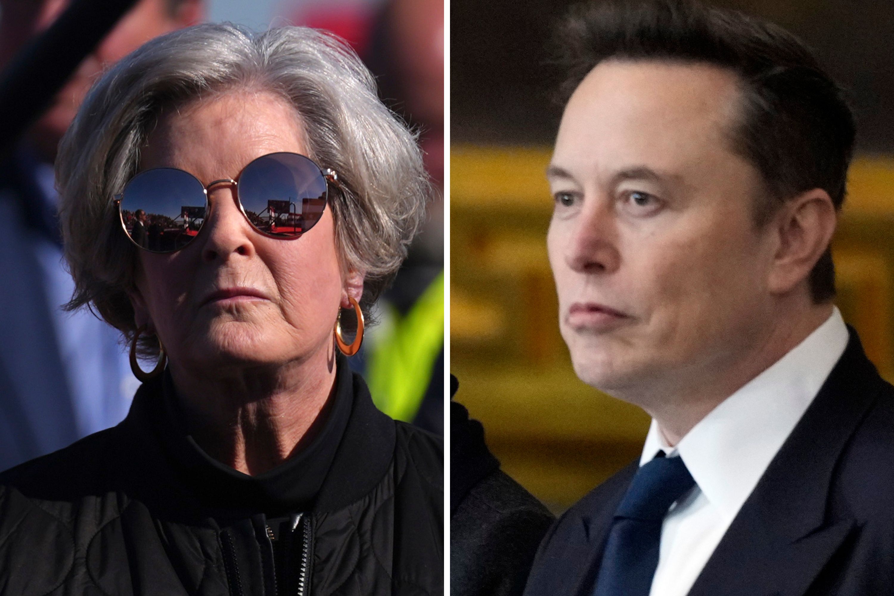 Elon Musk Responds to Reports Susie Wiles Is Limiting Access to Trump