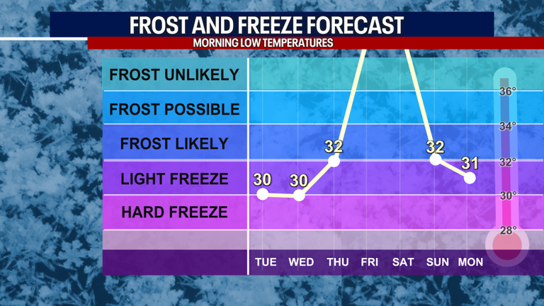 What are the chances of a February snow storm in Seattle? Here's what ...
