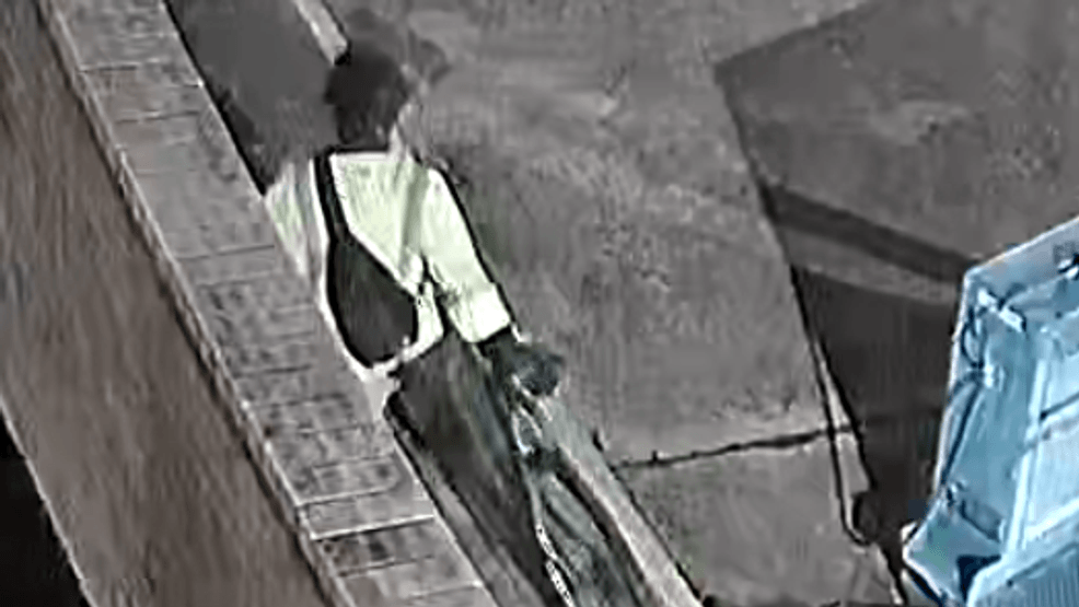 U.S. Postal Service offering up to $100,000 for information on theft at ...