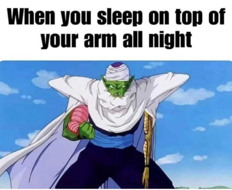 40 Hilarious Anime Memes That Would Even Make Vegeta Crack A Smile ...