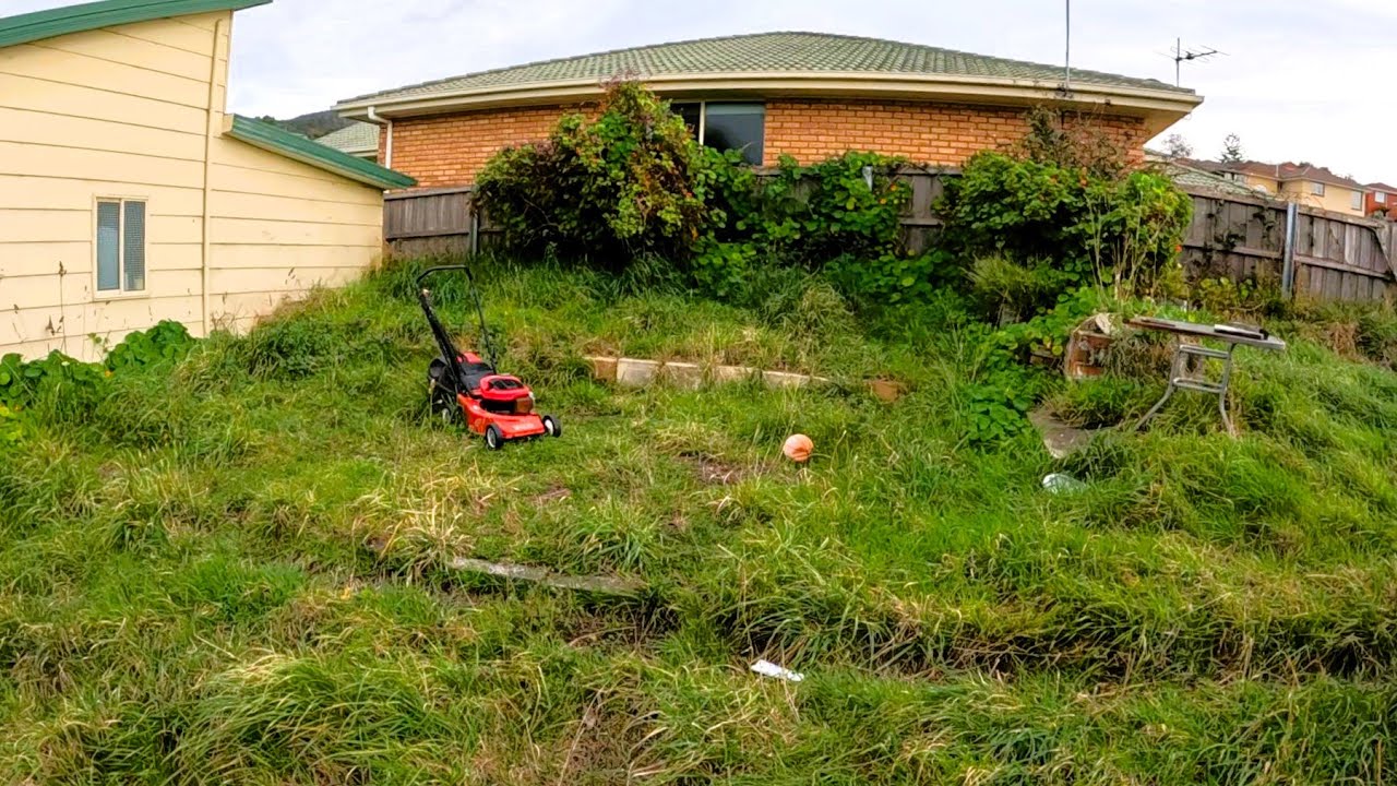 The Great Yard Cleanup: You Won't Believe What's Under All of This Mess!