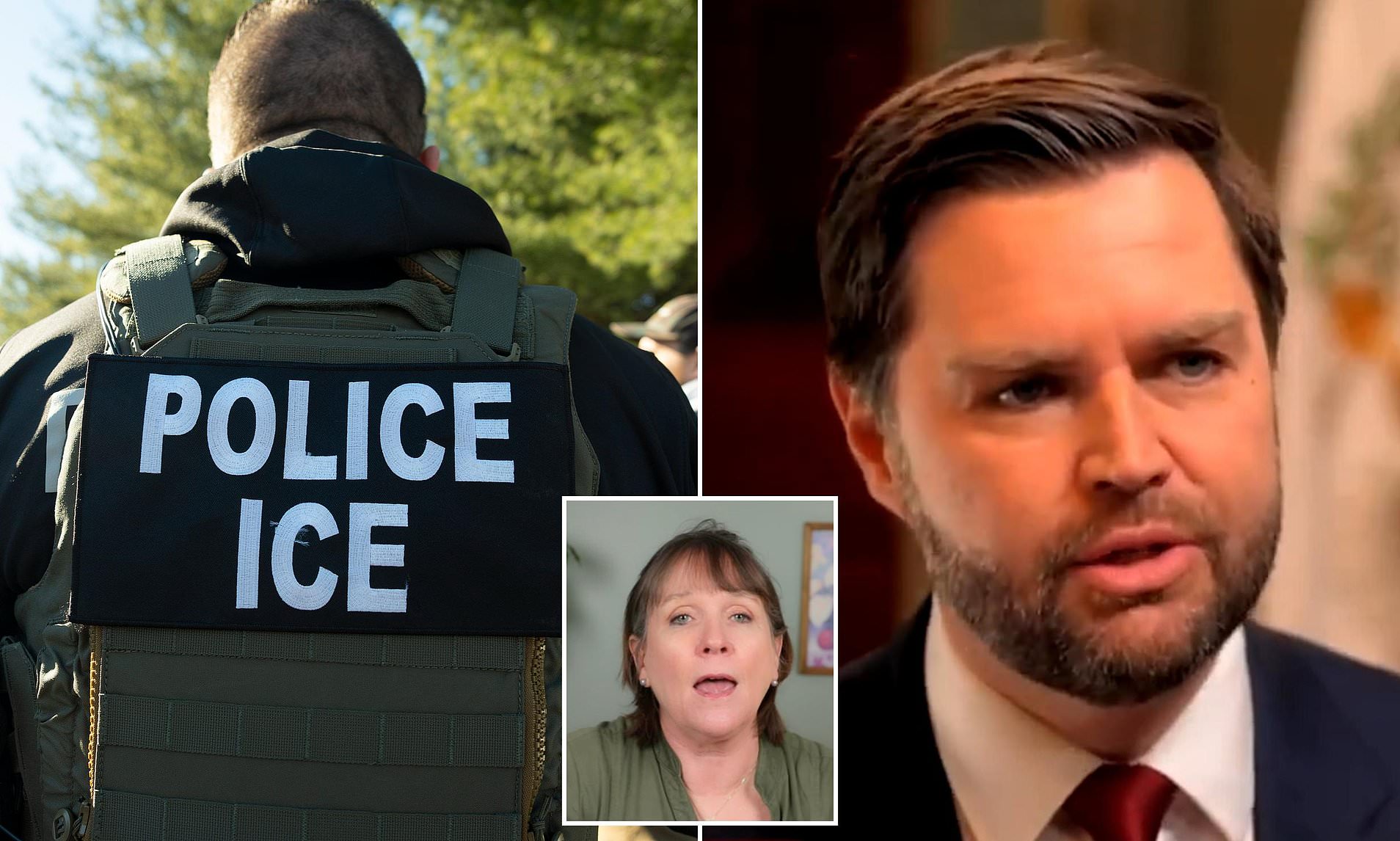 DOGE urged to defund charity teaching migrants how to 'avoid' ICE