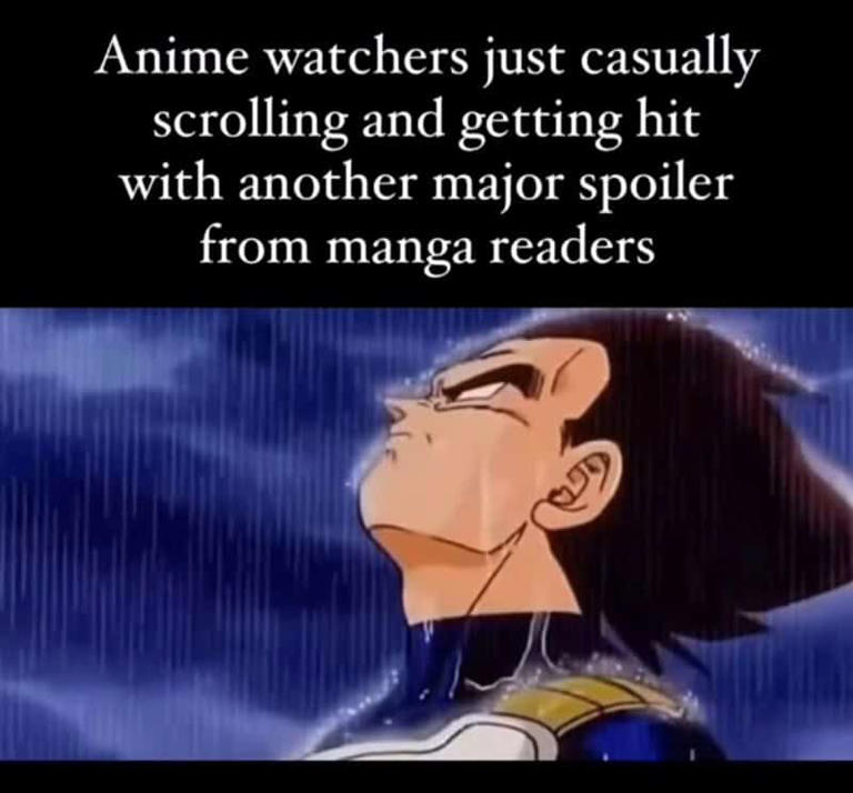 40 Hilarious Anime Memes That Would Even Make Vegeta Crack A Smile ...