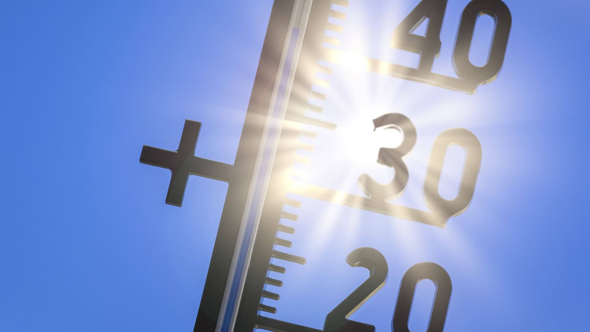 Unglaubliche 26,9 Grad: Valencia erlebt heissesten Januar-Tag seit 150 ...