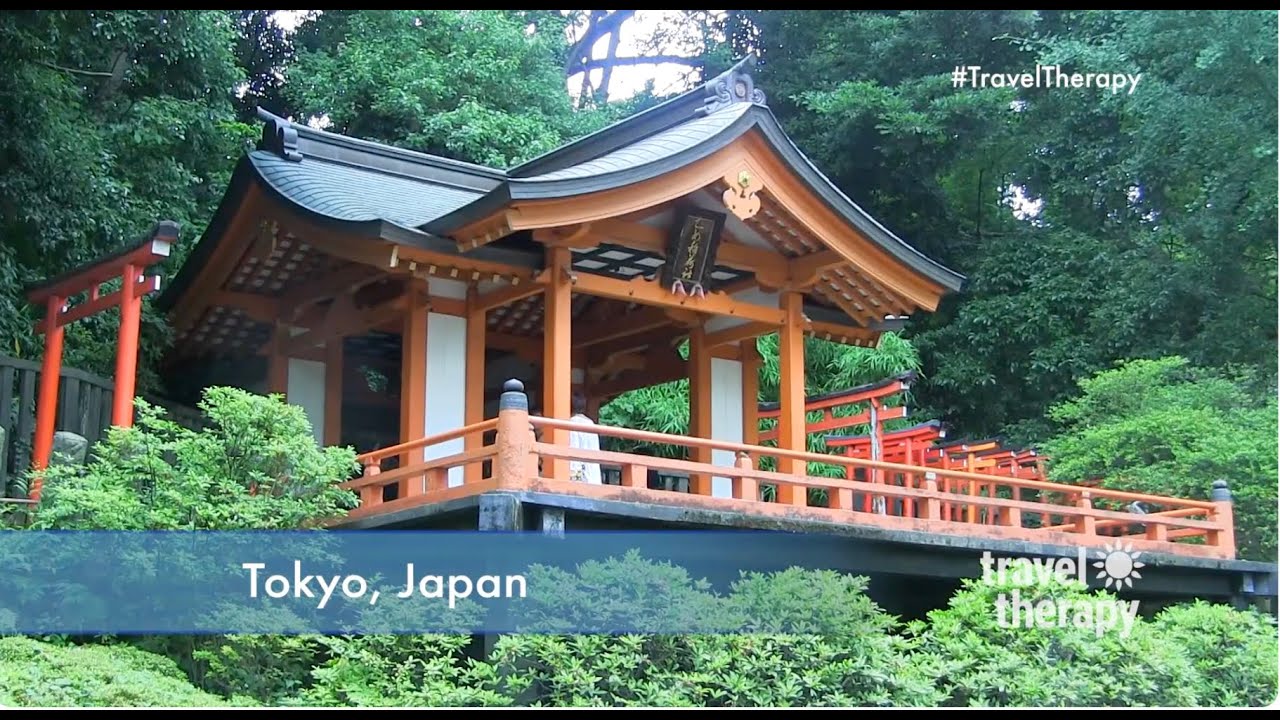 Top Things To Do in Tokyo | TRAVEL THERAPY with Karen Schaler