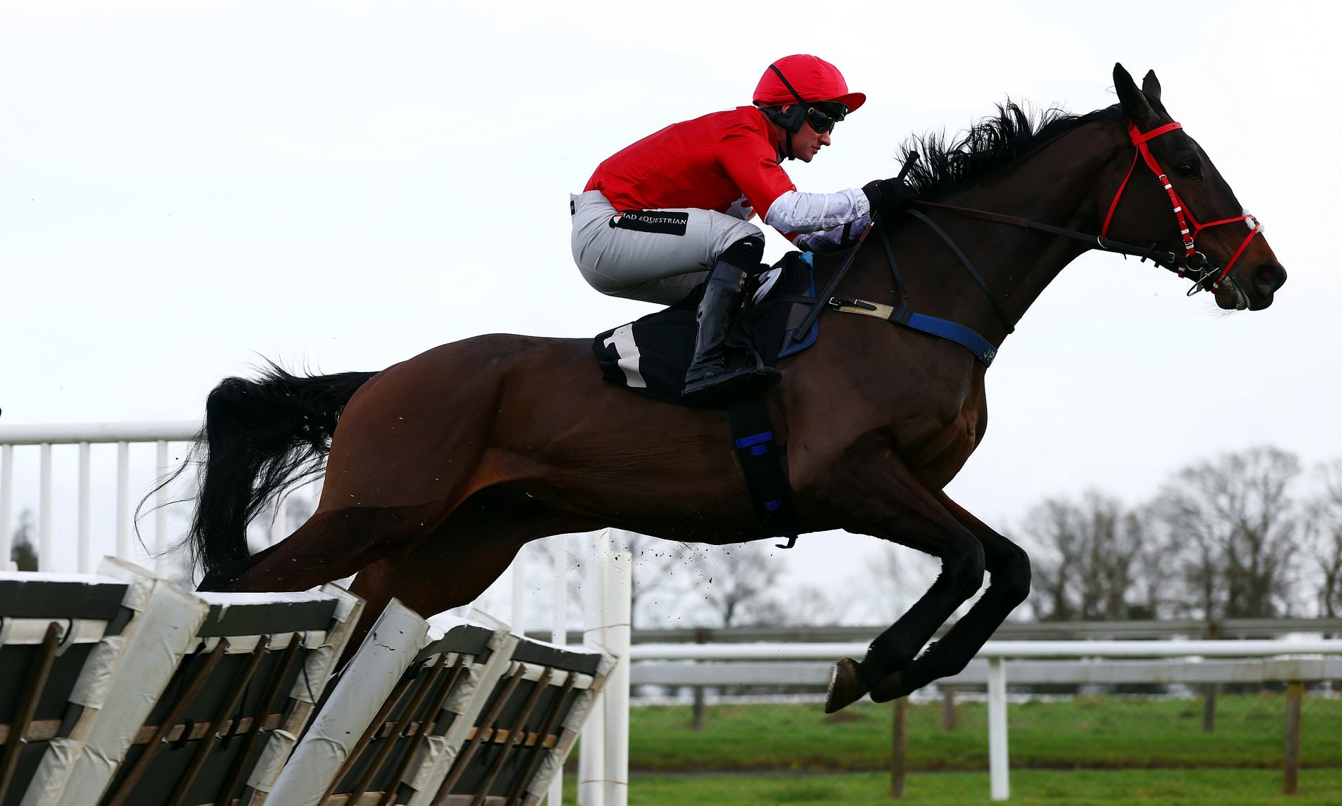 Robin Goodfellow's racing tips: Best bets for Tuesday, January 28