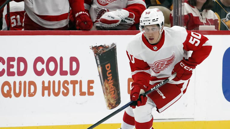 Red Wings' Dominik Shine, 31, Making NHL Debut After Nine Seasons in AHL
