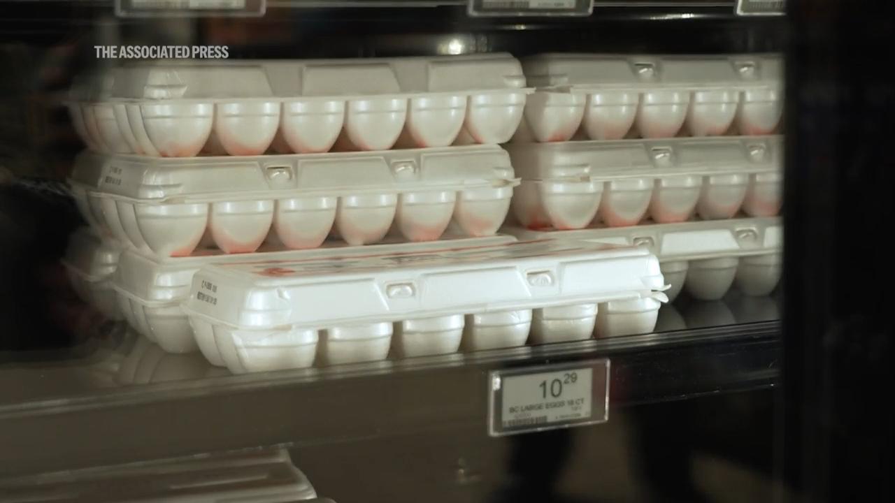 Grocers say egg shortage becoming critical as prices predicted to rise ...