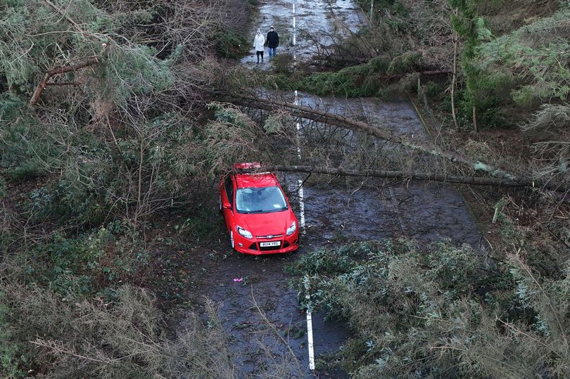 Storm Herminia warning as weather expert says Storm Eowyn 'just the start'