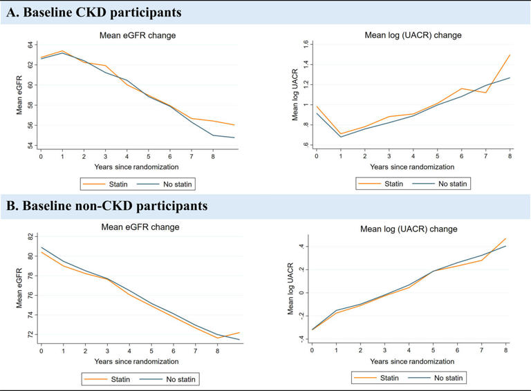 Study finds statins do not impact kidney function in older adults