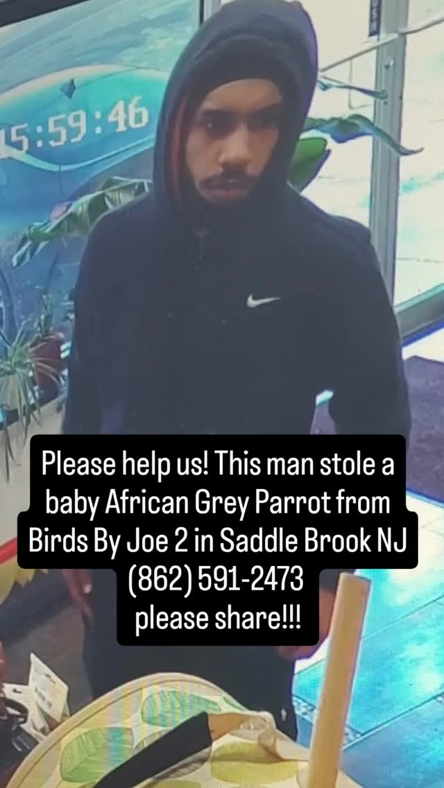 NJ bird shop owner — whose $7K parrot was stolen last month — shot in ...