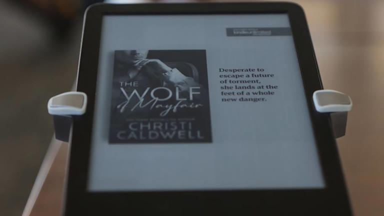 Stuff Your Kindle Day: January 28 gives us 1000 romance books to snag ...