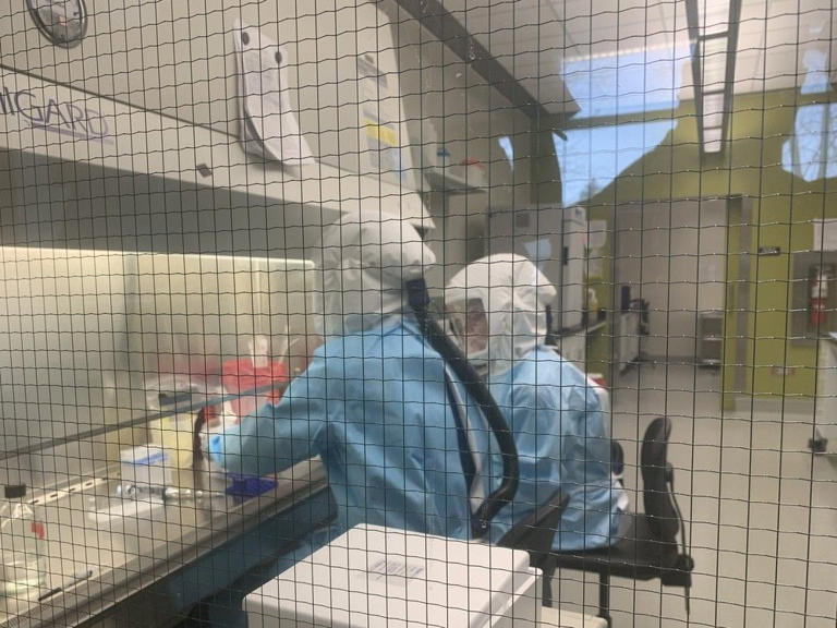 VIDO aims to create 'holy grail' of vaccines with global research grant