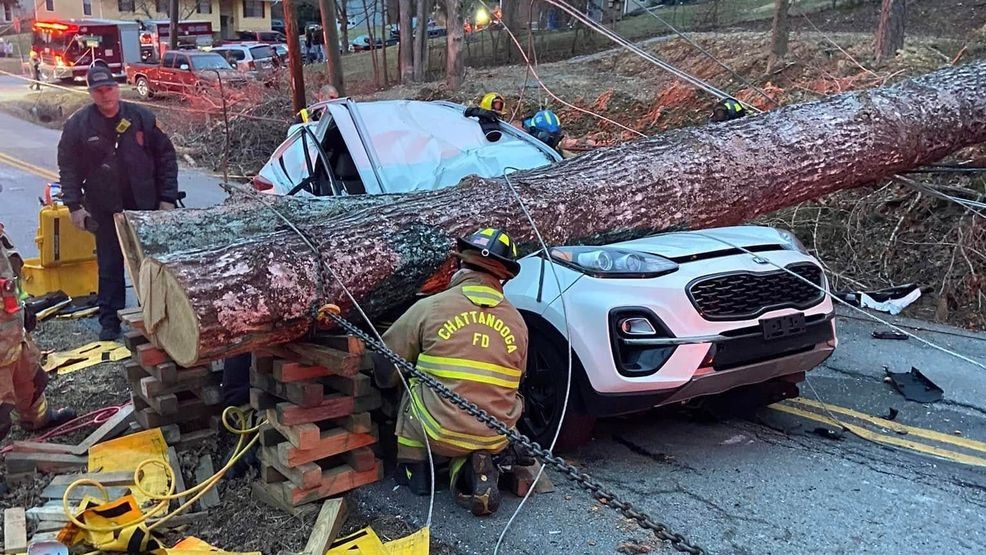 Previous complaint filed for unapproved work on land where tree fell on ...