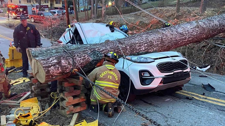 Previous complaint filed for unapproved work on land where tree fell on ...