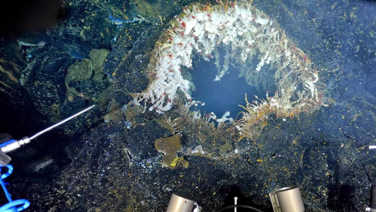 Map shows location of huge underwater volcano near coast set to erupt ...