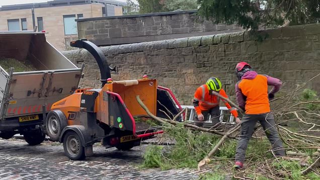 Workers clear up fallen tree after Storm Eowyn wreaked havoc