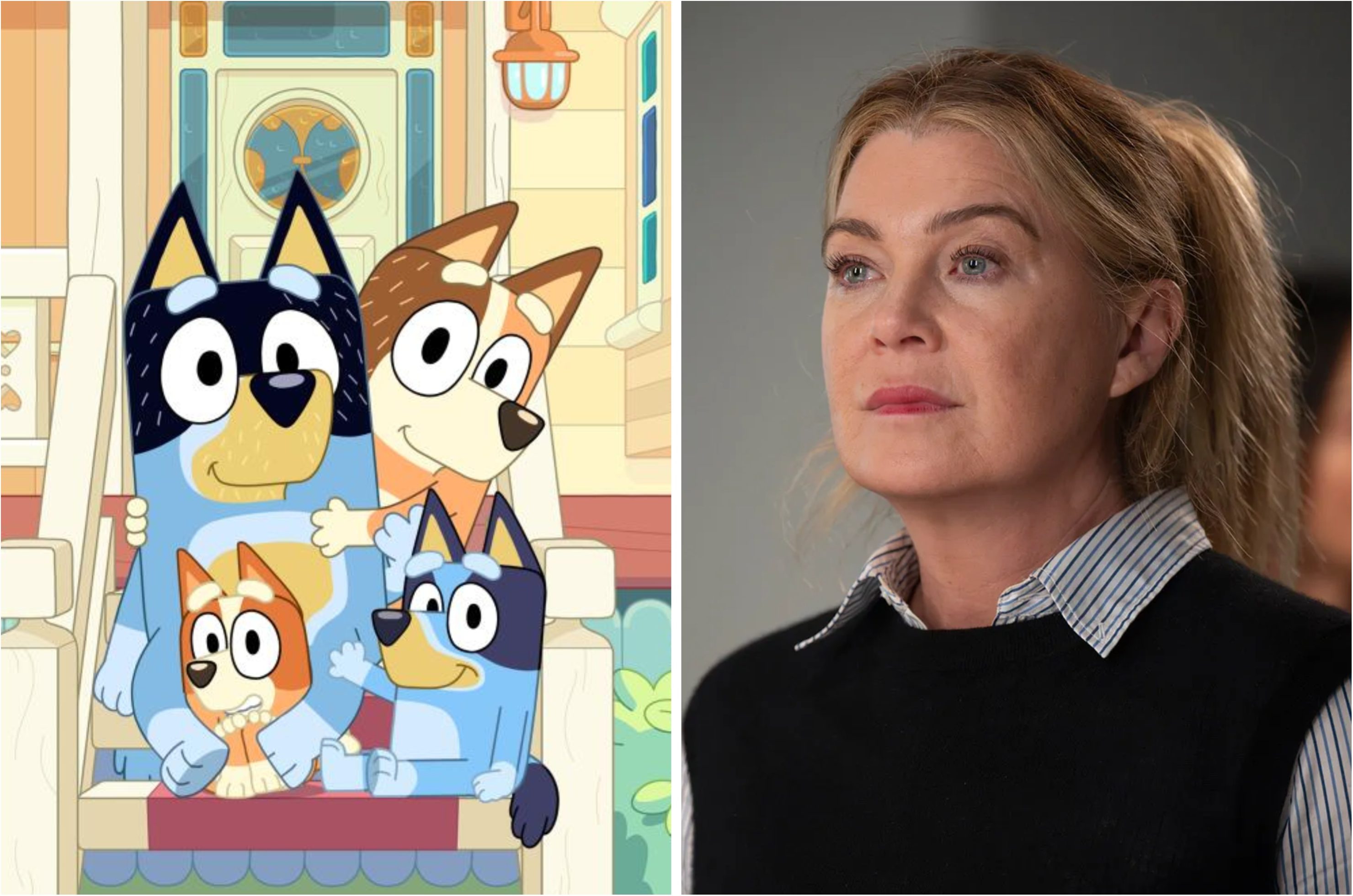 2024's Most-Streamed Series Revealed: ‘Bluey,' ‘Grey's Anatomy ...