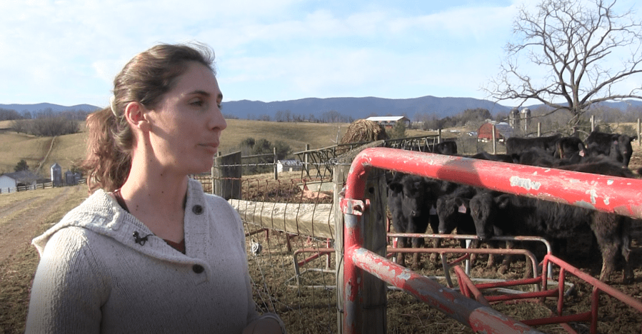 Phone app helps reduce Virginia’s farm veterinarian shortage
