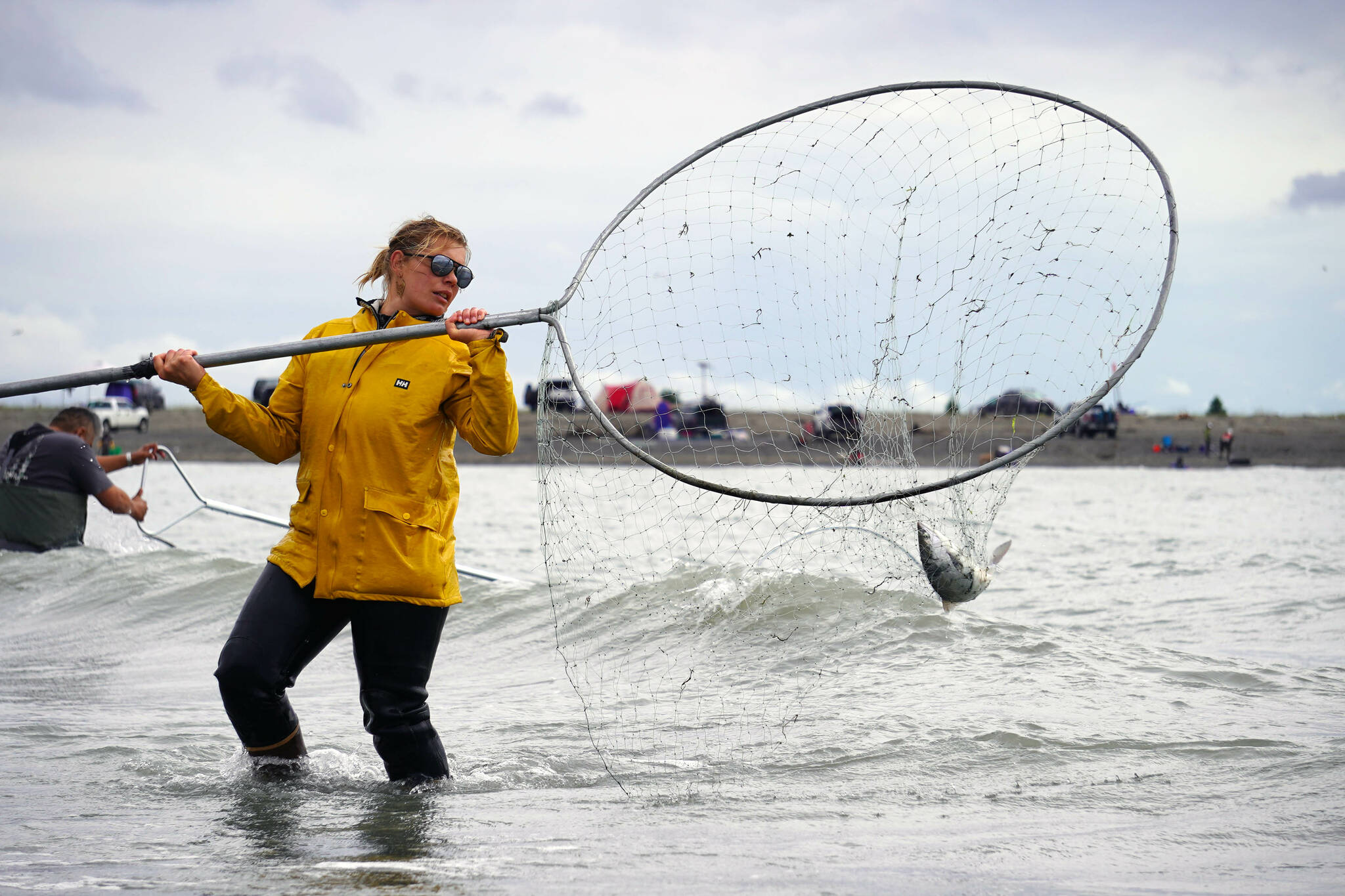 Fish and Game projects 7 million sockeye for Upper Cook Inlet