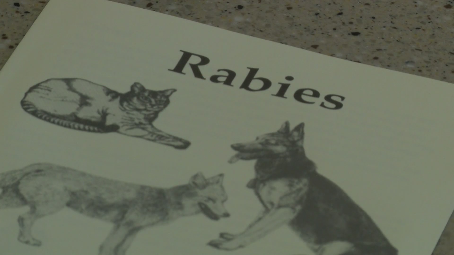Keep pets safe from rabies: Symptoms to look for