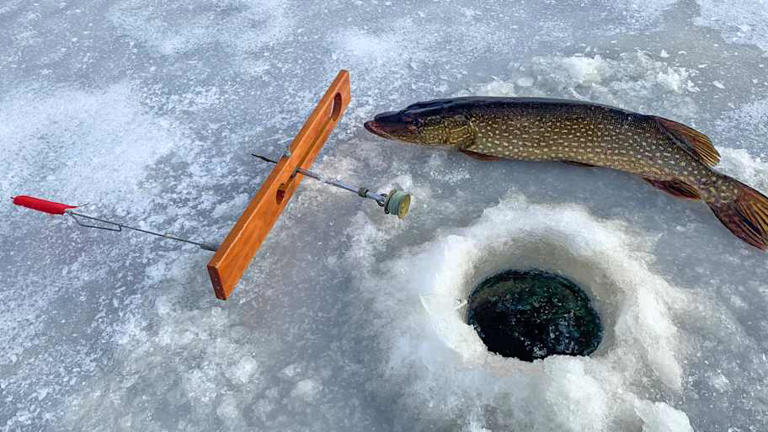 Top 10 Tips for Tip-Up Ice Fishing: Catch More Fish This Winter