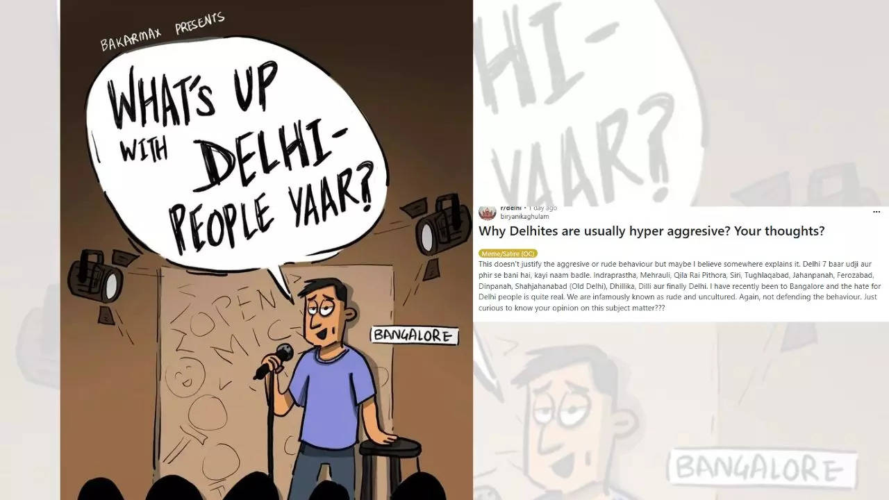 “The hate and stereotype for Delhi is real”: Reddit user claims ...