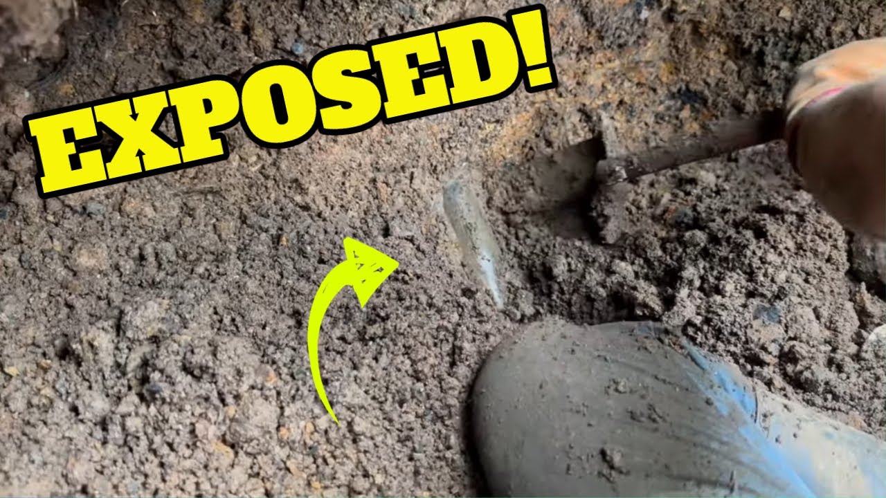 Buried Time Capsule Unearthed: Hidden Treasures Revealed!